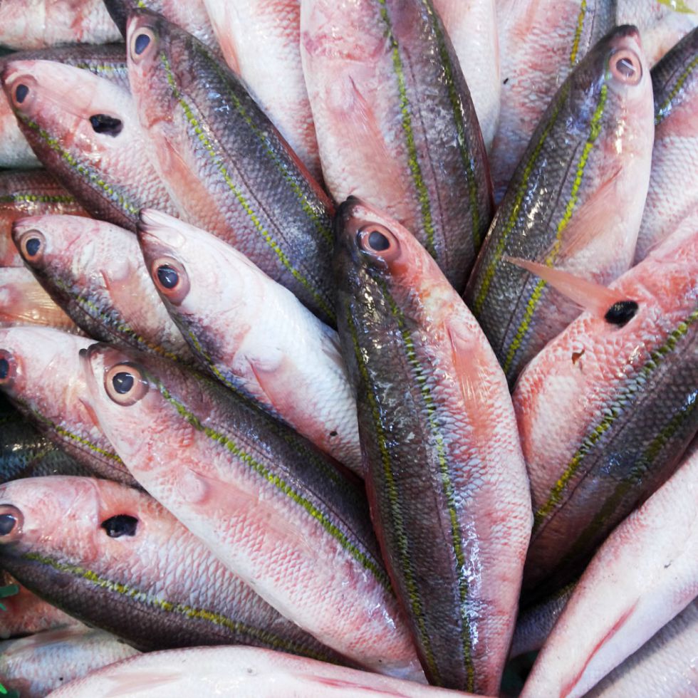 Dalagang Bukid Dalagang Bukid Hi Res Stock Photography And Images